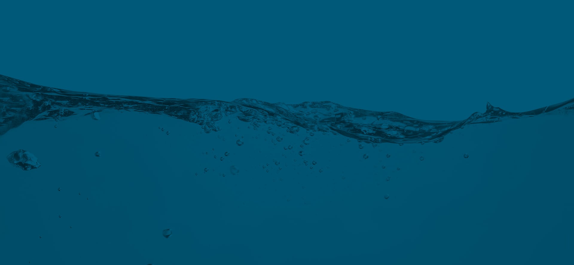 Certified Partner Program - VIQUA