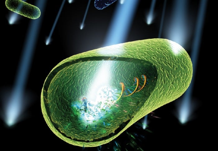 UV Water Treatment - VIQUA